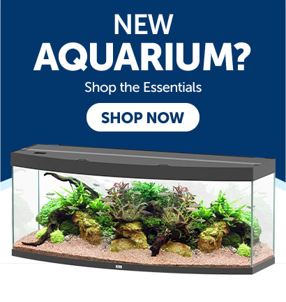 Big Al's - Aquarium, Reptile, Pond and Small Animal Specialists
